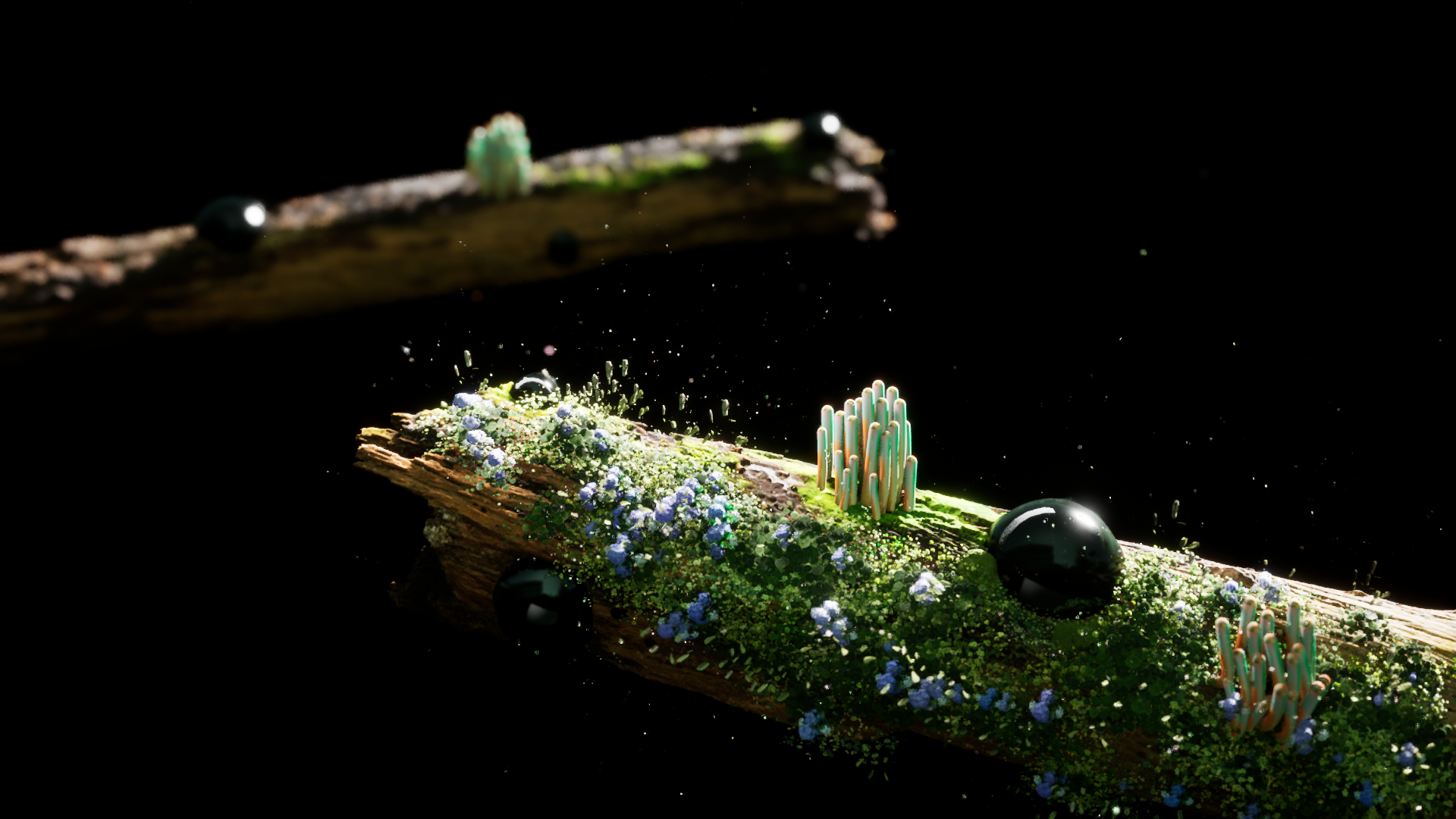 Portfolio Plant Painter